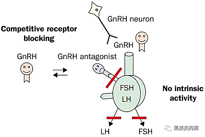 آنالوگ های GnRH – LHRH – داروسازی آپرین فارمد